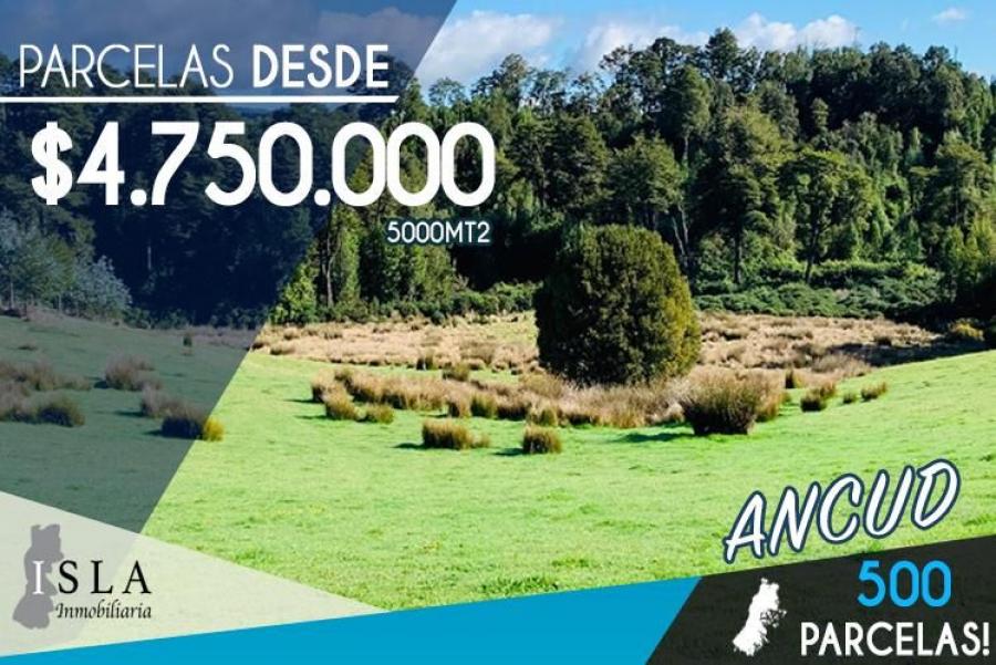 Fotos de Conéctate con el Sur de Chile, con nuestras parcelas desde $4. ...