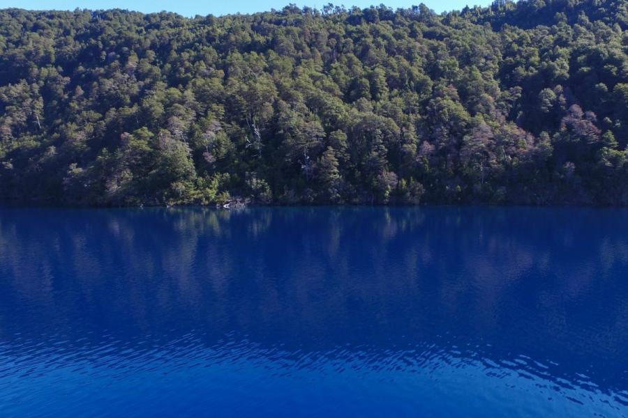 8 Hás. en Lago Azul - TEV108981