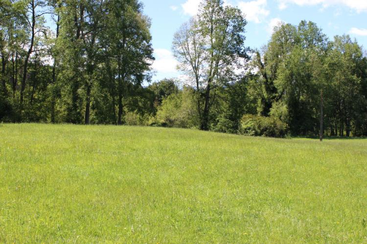 VENTA DE PARCELAS EN PANGUIPULLI - PAV35140