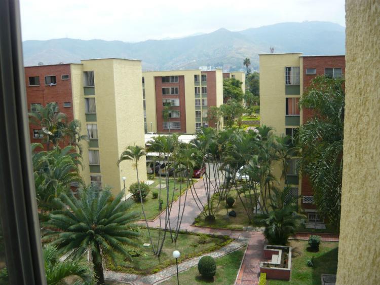 Fotos de PACARA II. Anuncio: APV89473
