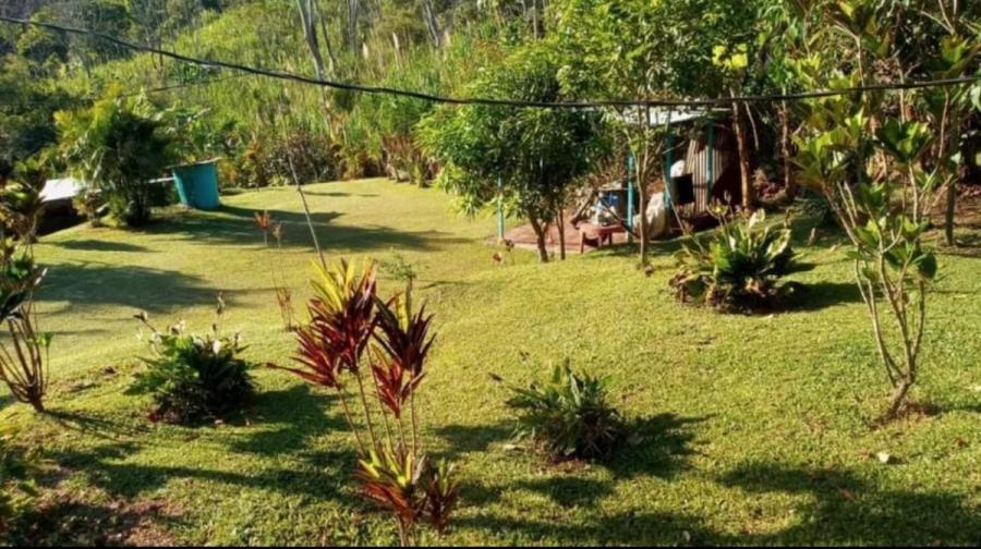 SE VENDE ÚTIL CHANCHERA Y PROPIEDAD EN TABARCIA, MORA, SAN JOSÉ - FIV94956