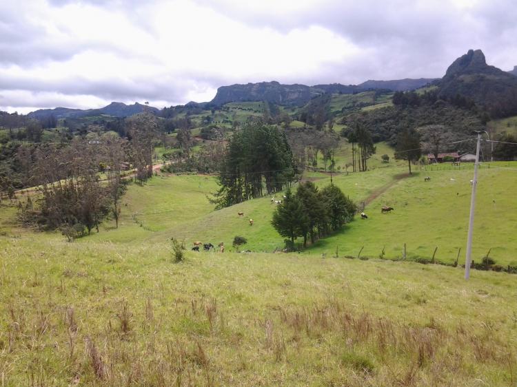 terreno de 6,7 hectáreas cerca de Girón- cuenca- ecuador - TEV13210