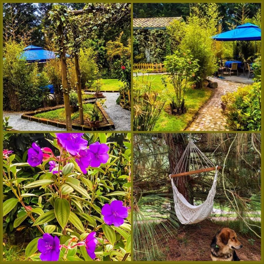 Fotos de VENDO HERMOSA FINCA EN MALCHINGUÍ, Parroquia del cantón Pedro ...