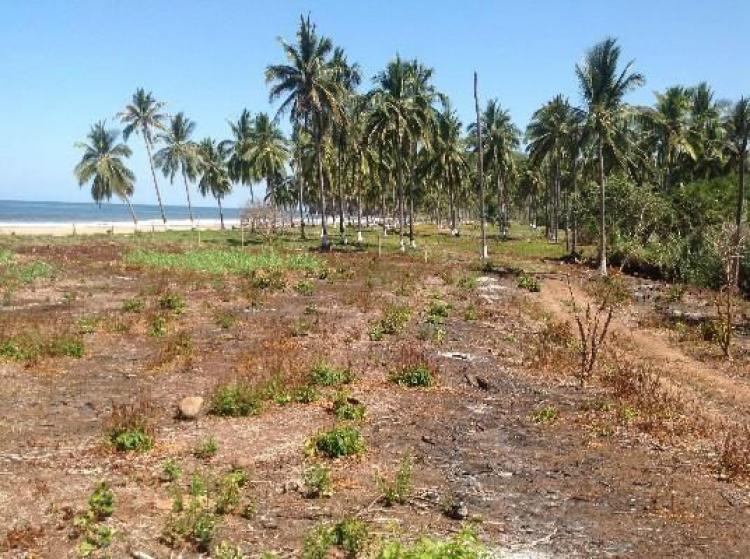 Fotos de Terreno a pie de playa, para desarrollo turístico. - TEV212026