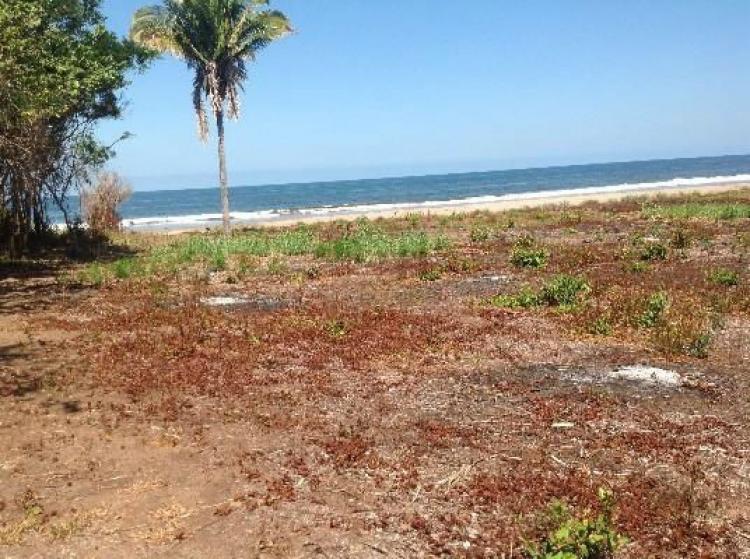 Fotos de Terreno a pie de playa, para desarrollo turístico. - TEV212026
