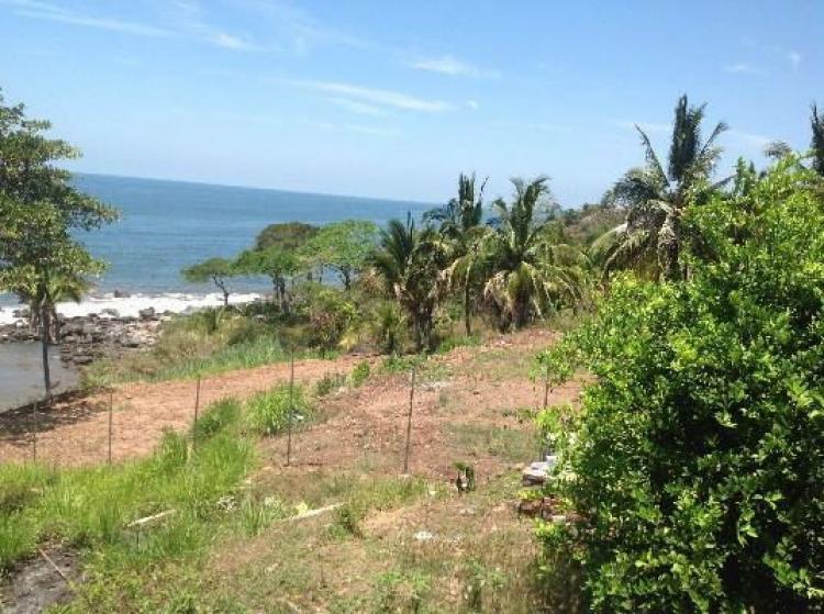 Fotos de Terreno a pie de playa, para desarrollo turístico. - TEV212026
