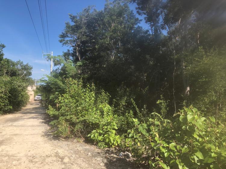 Terreno en Venta en Tulum, Quintana Roo - U$D 102.120 - TEV240271 ...
