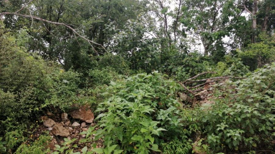 Venta de Terreno en Chichimila - TEV329423