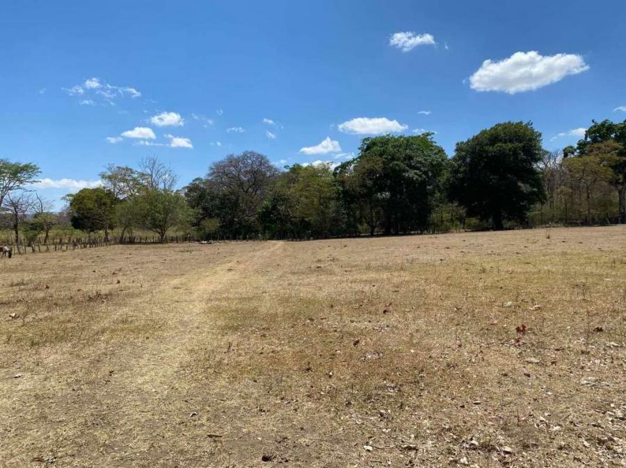Fotos de Propiedades en venta 600 mzs Malacatoya - Granada - FIV1243