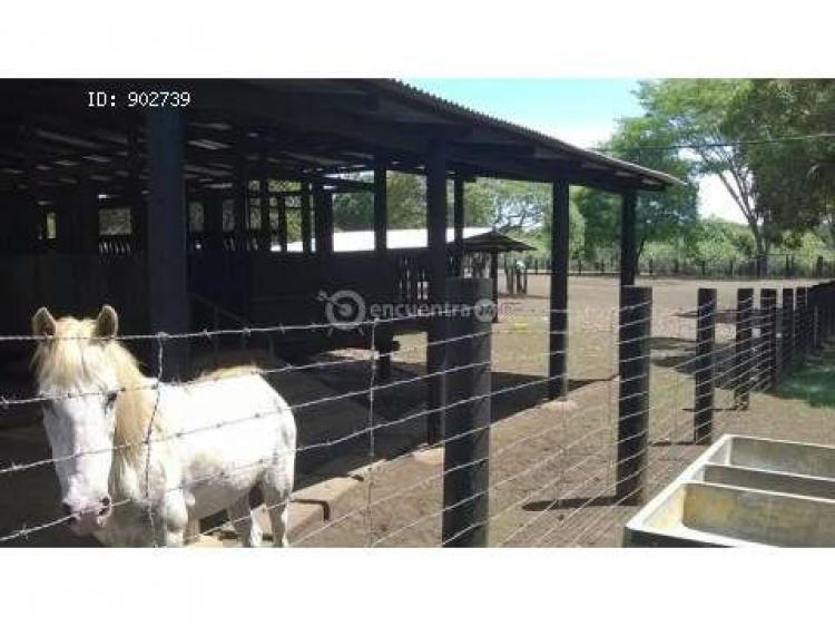 Venta de Finca en Tisma Masaya de 5 dormitorios y 4 baños - FIV43