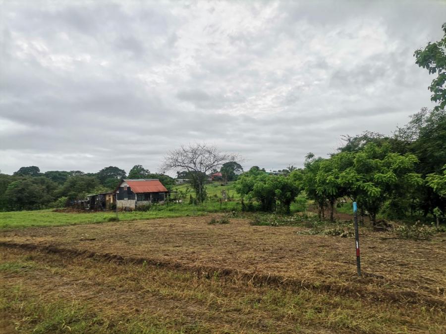 SE VENDE TERRENO, 12 minutos de Pedasí . PLANO, ORILLA DE CALLE, ¡GANGA ...