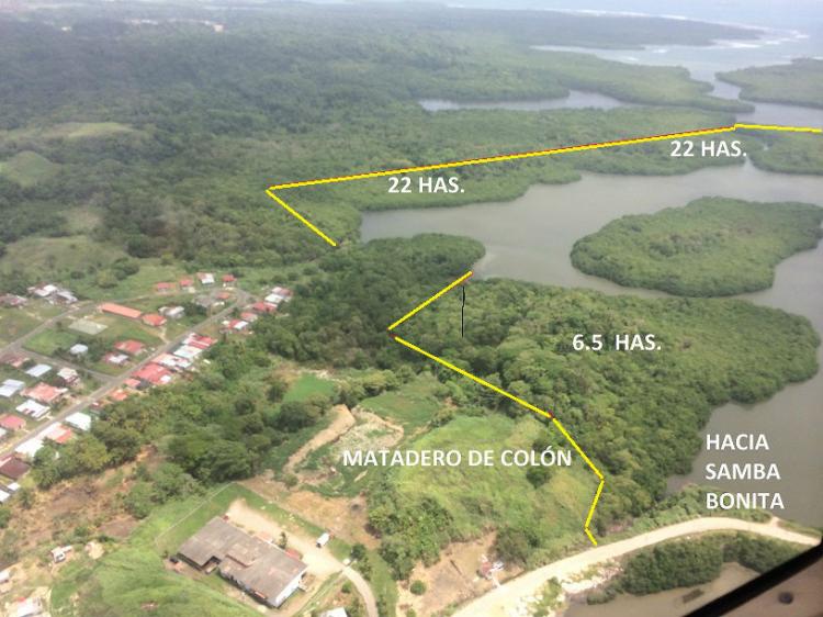 SE VENDE TERRENO FRENTE AL MAR CATIVA COLON 28, HECTÁREAS. - TEV10443