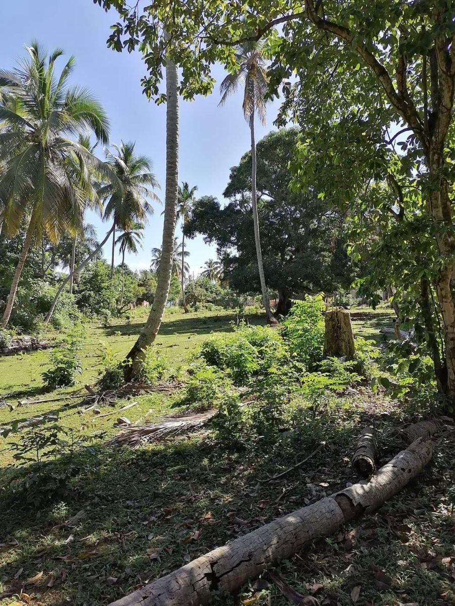 Vendo 10.5 Tareas en Puerto Francés, Samaná - FIV21094